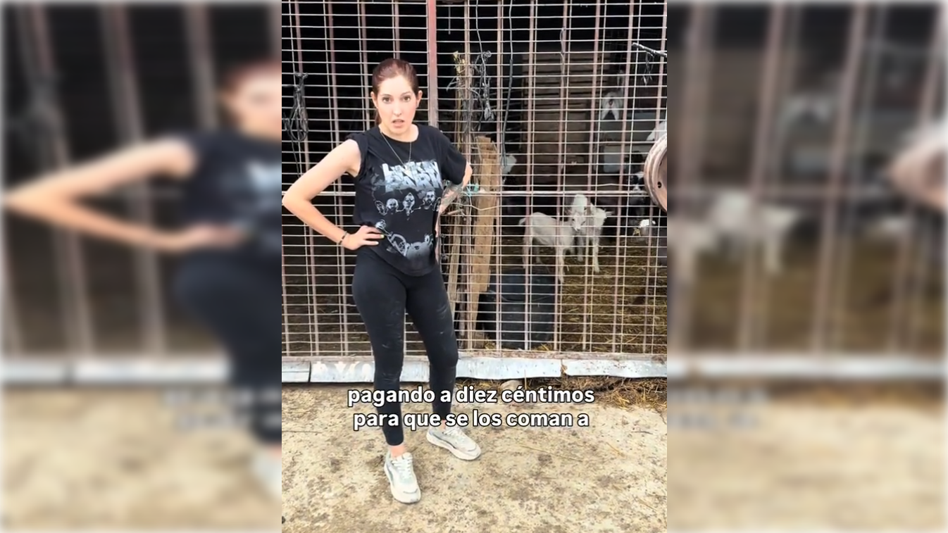 Ainoa, agricultora almeriense de 29 años: "Para vender los pepinos a 10 ...